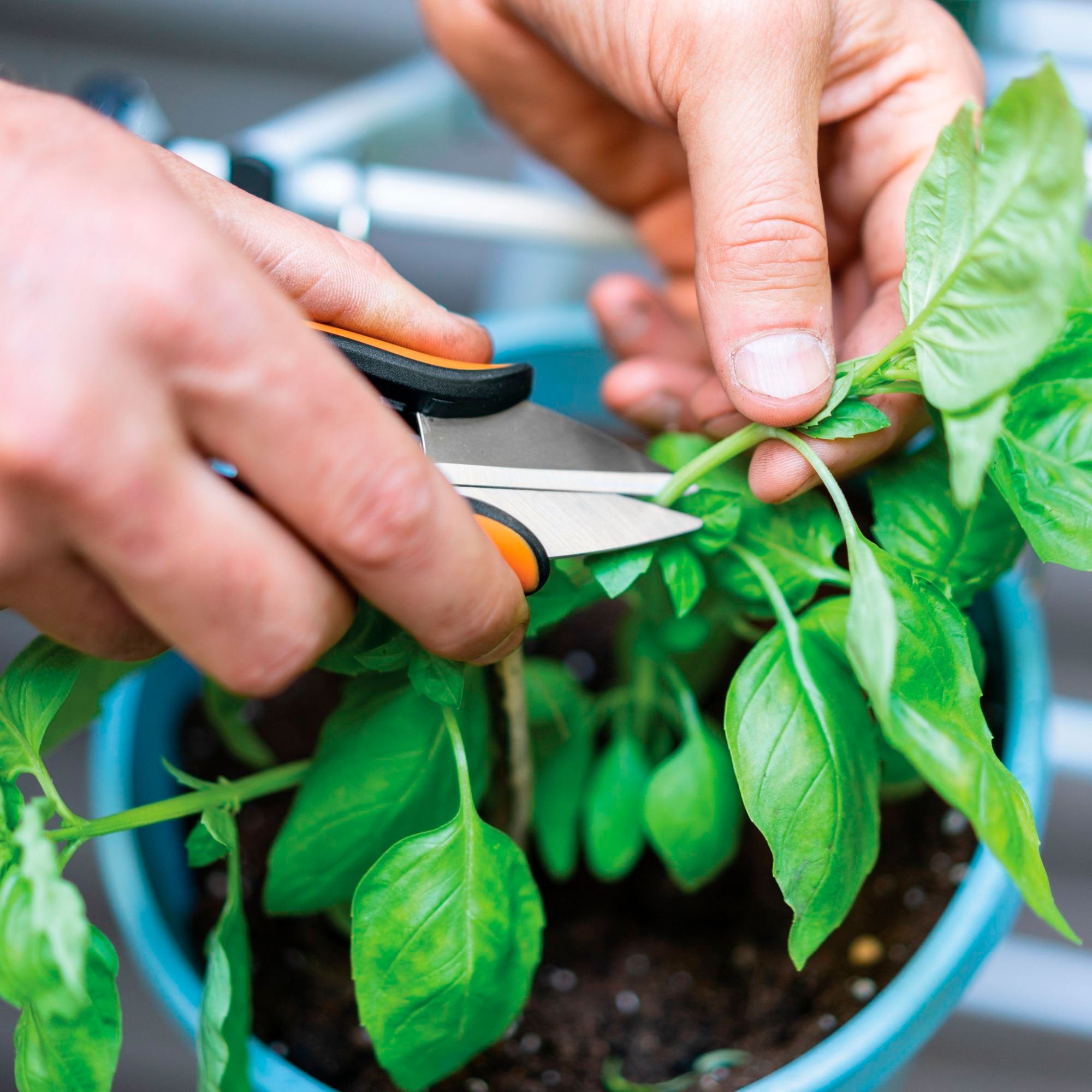 Fiskars Ciseaux à herbes Fiskars acheter | Bakker.com