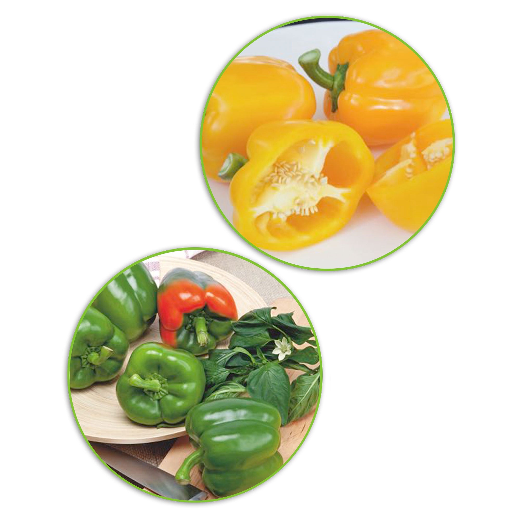 Achetez maintenant des graines de légumes Paquet de poivrons Capsicum ...